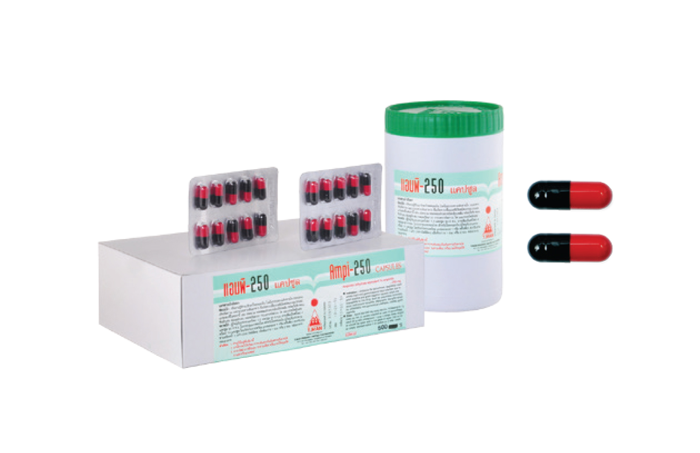 แอมพิ-250 - บริษัท ที.แมน ฟาร์มาซูติคอล จำกัด (มหาชน)/ ผู้ผลิตและจัด ...